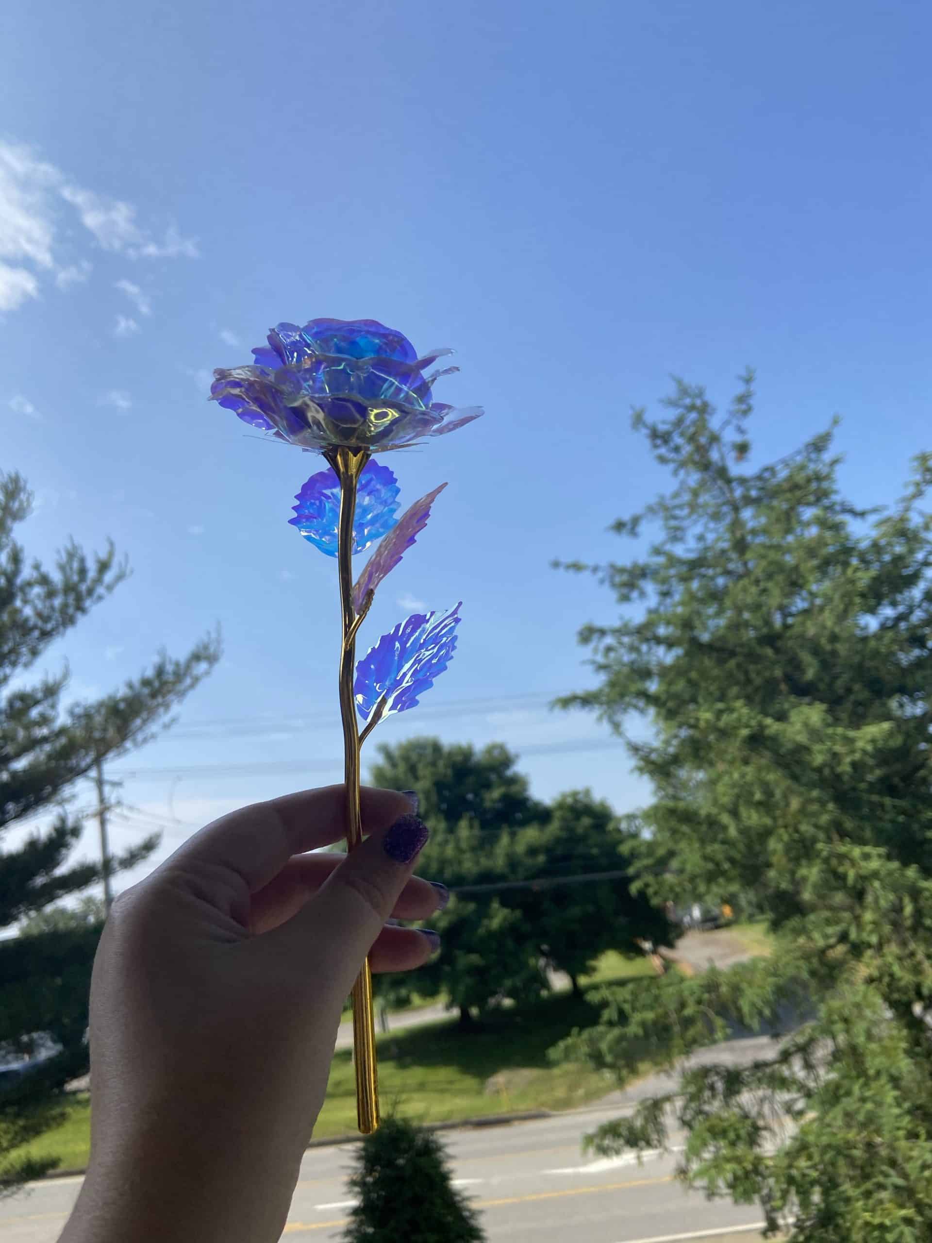 Galaxy Rose Review From Dose Of Roses. | Geeky Sweetie